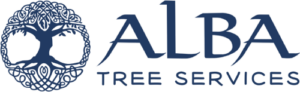 Contact | Tree Topping | Christchurch | Alba Tree Services