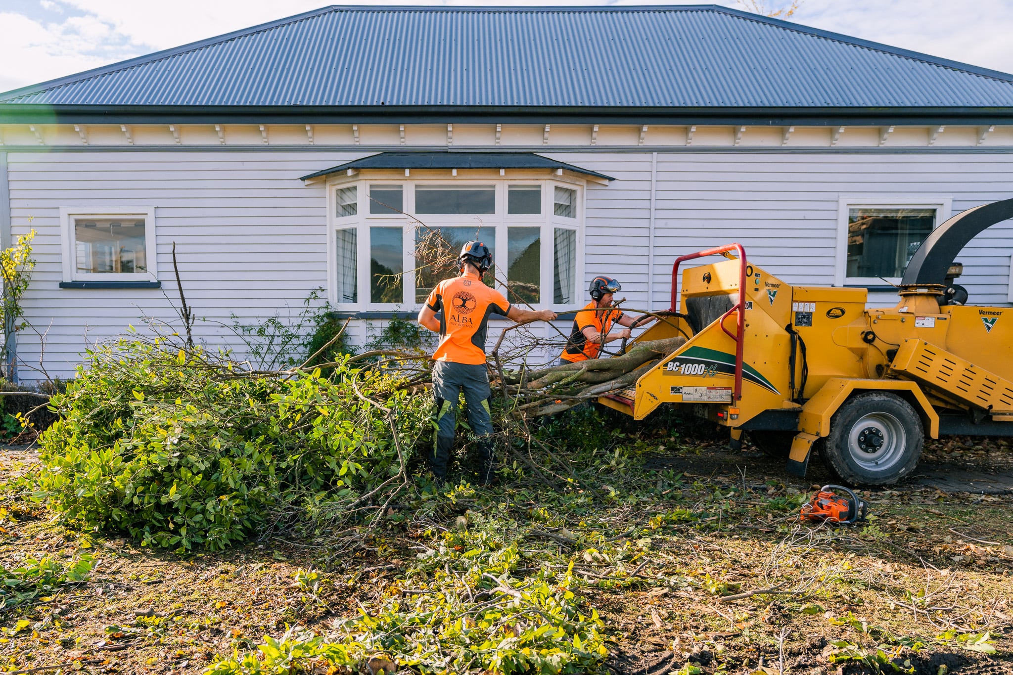 Alba Tree Services | Arborists | Tree Pruning | Christchurch
